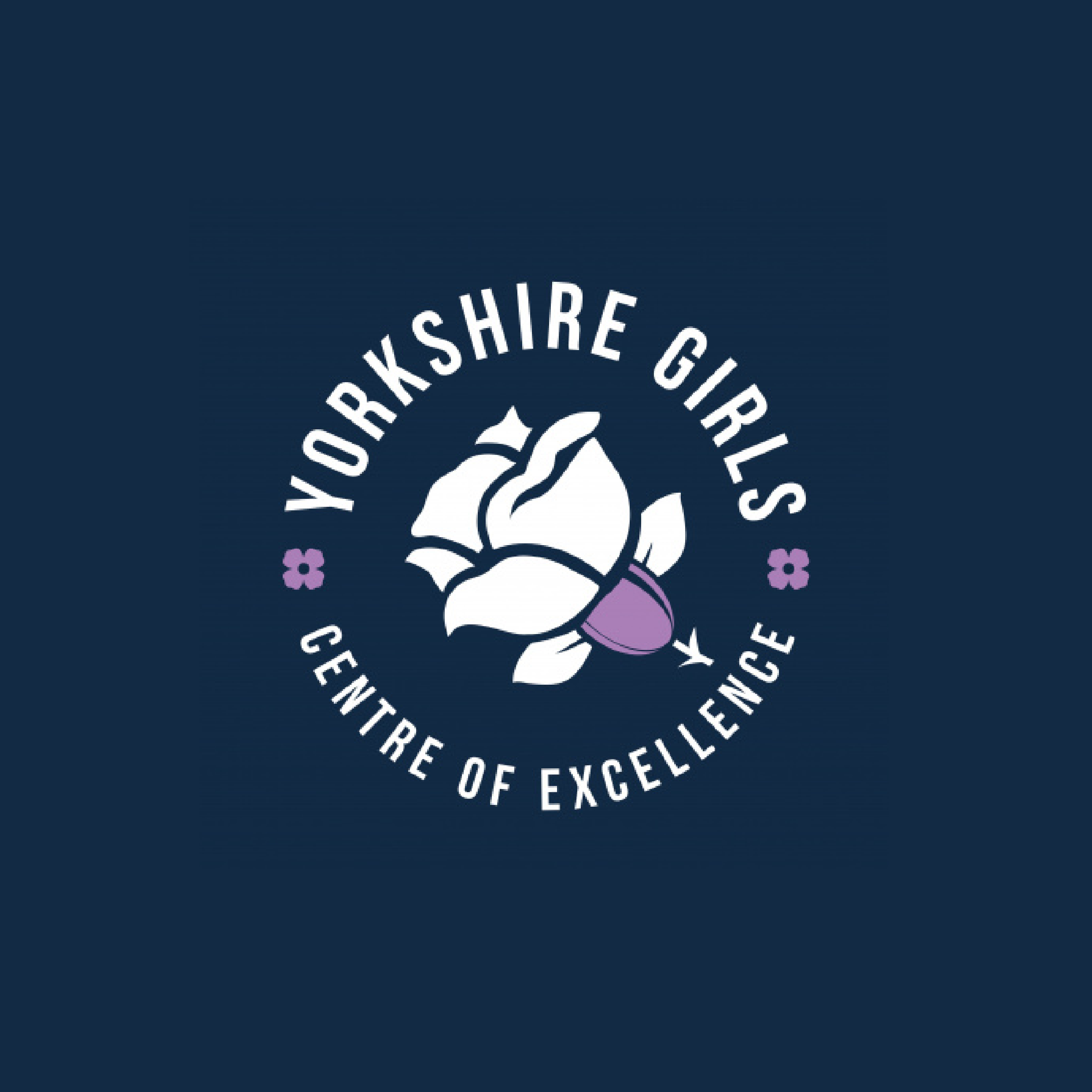 Soil Engineering announced as sponsor of Girls' Centre of Excellence